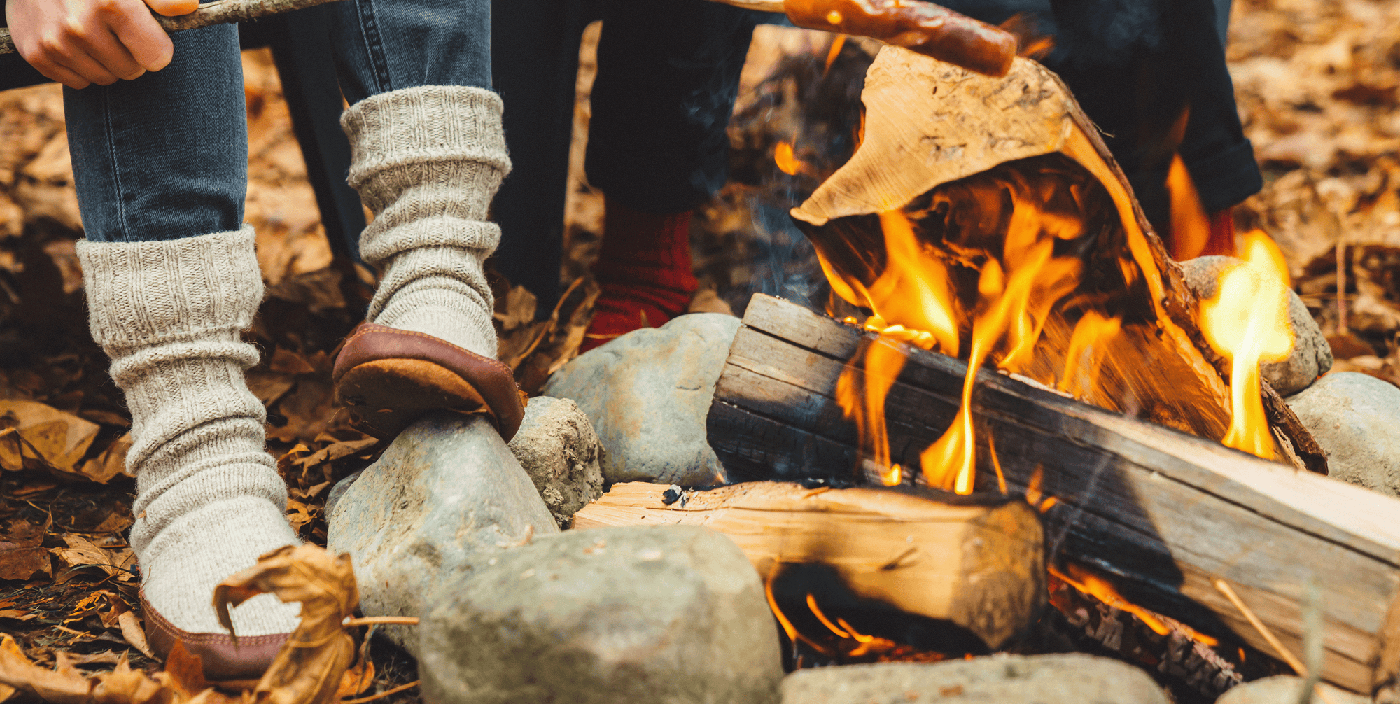 Acorn's Best-Sellers – Page 2 – Acorn.com USA